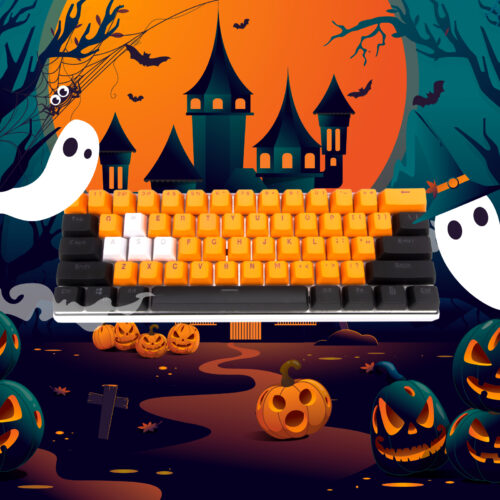 Speciální edice | Reelag